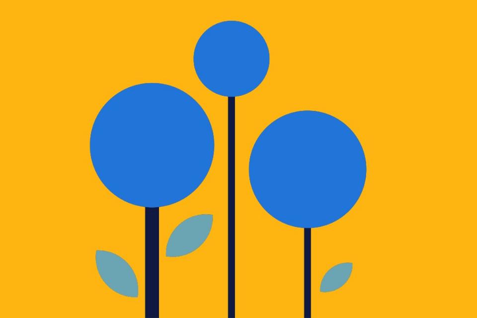 How to Do a Land Acknowledgement? | Randstad Canada